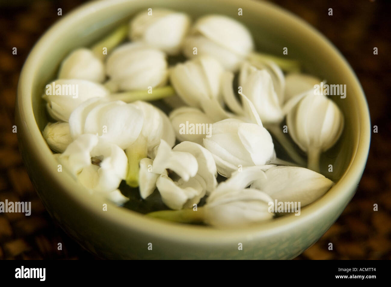 ingradient for a massage Stock Photo - Alamy