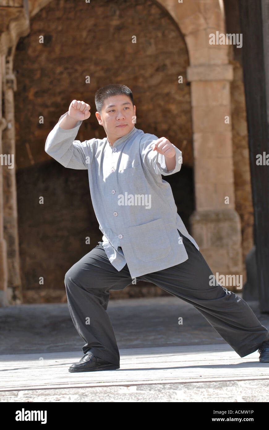 Portrait of Fu Qing Quan Master and authentic descendant of Yang Tai ...