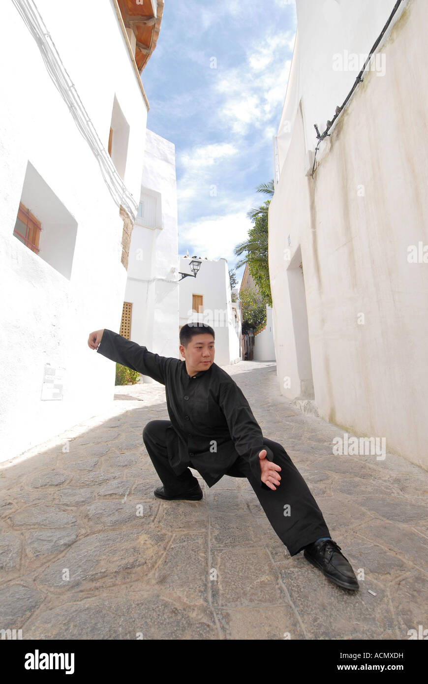 Portrait of Fu Qing Quan Master and authentic descendant of Yang Tai ...