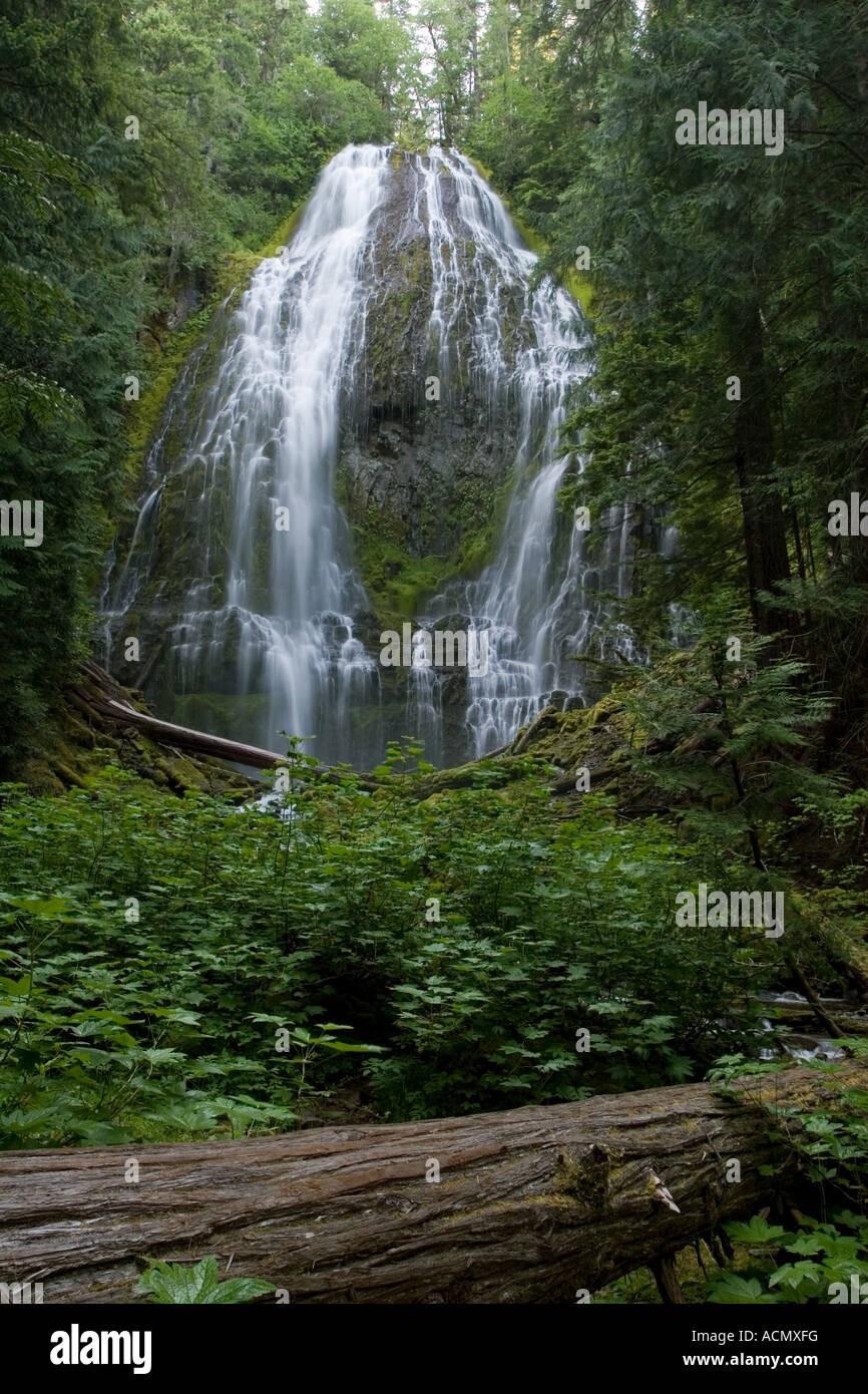 Proxy Falls in the Oregon Cascades Stock Photo - Alamy