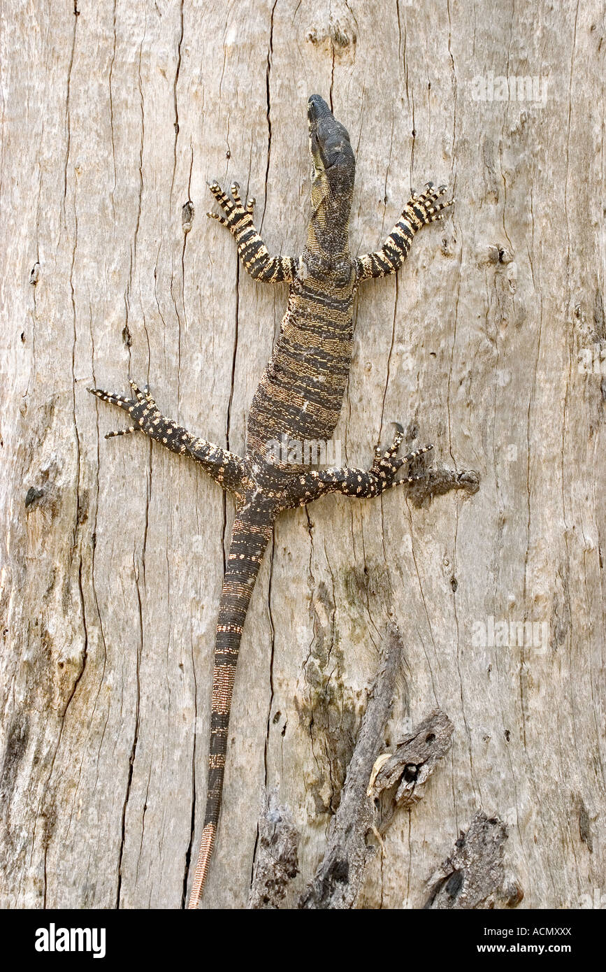 The monitor way hi-res stock photography and images - Alamy