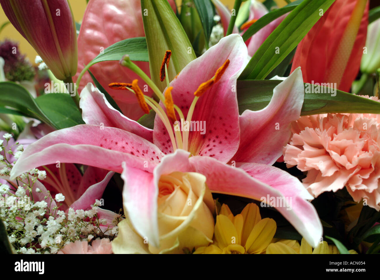 Indoor flower arrangement Stock Photo - Alamy