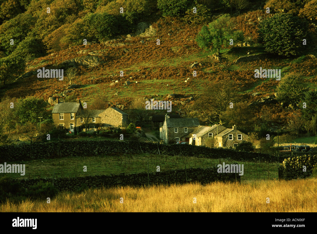 Farm nr Boot The Esk Valley Lake District Cumbria England UK Stock ...