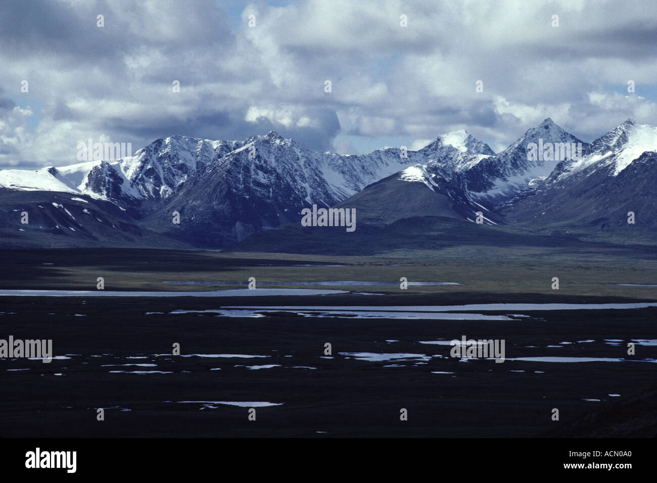 Mackenzie marsh hi-res stock photography and images - Alamy