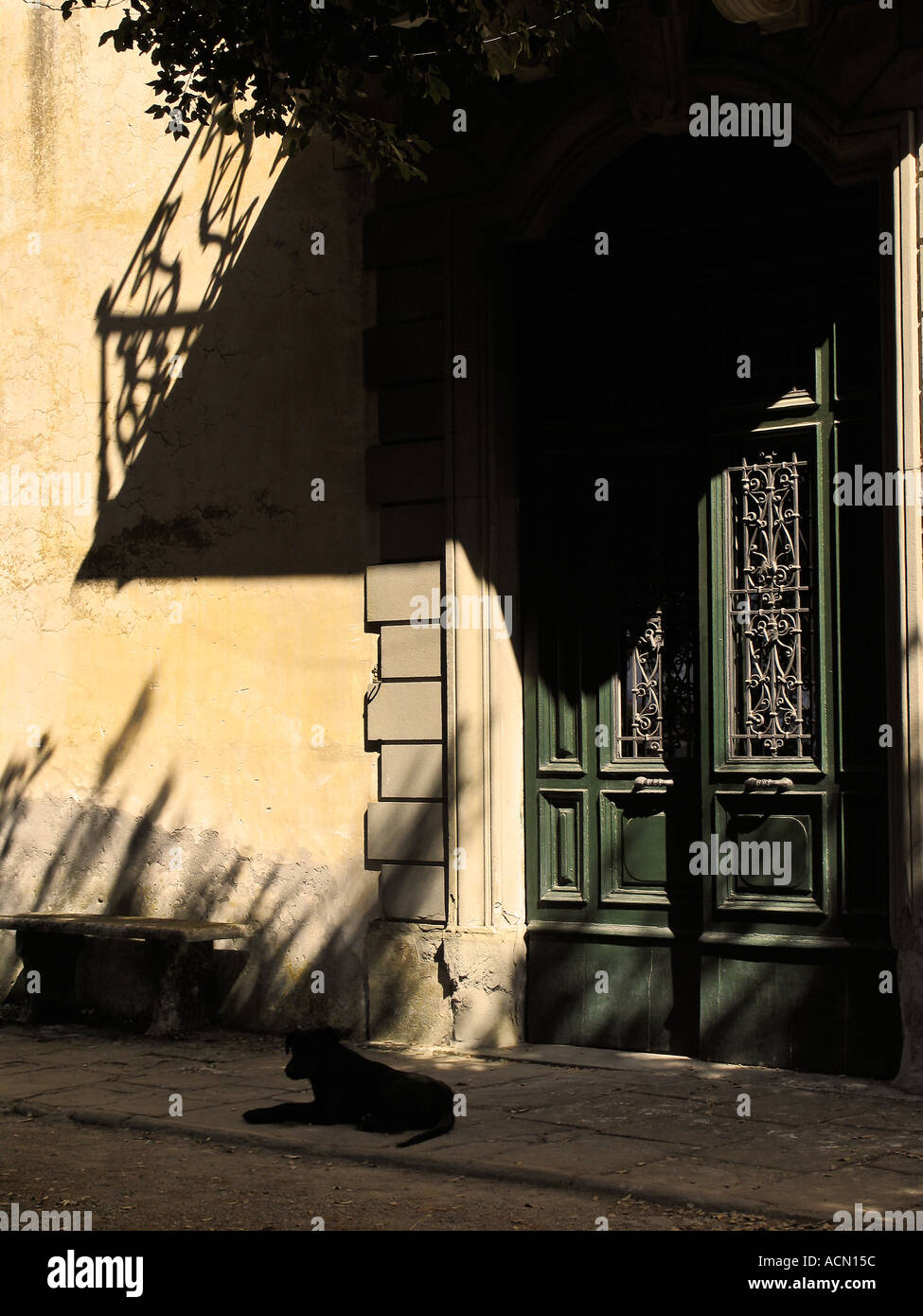 Black labrador in doorway hi-res stock photography and images - Alamy
