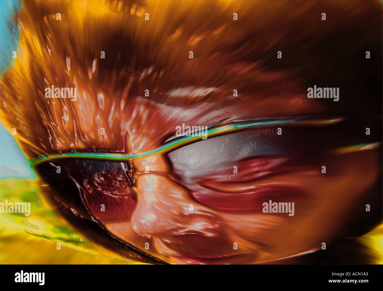 Scary unusual hi-res stock photography and images - Alamy