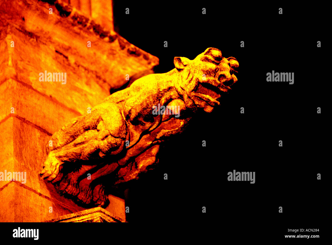 Bug eyed monster hi-res stock photography and images - Alamy