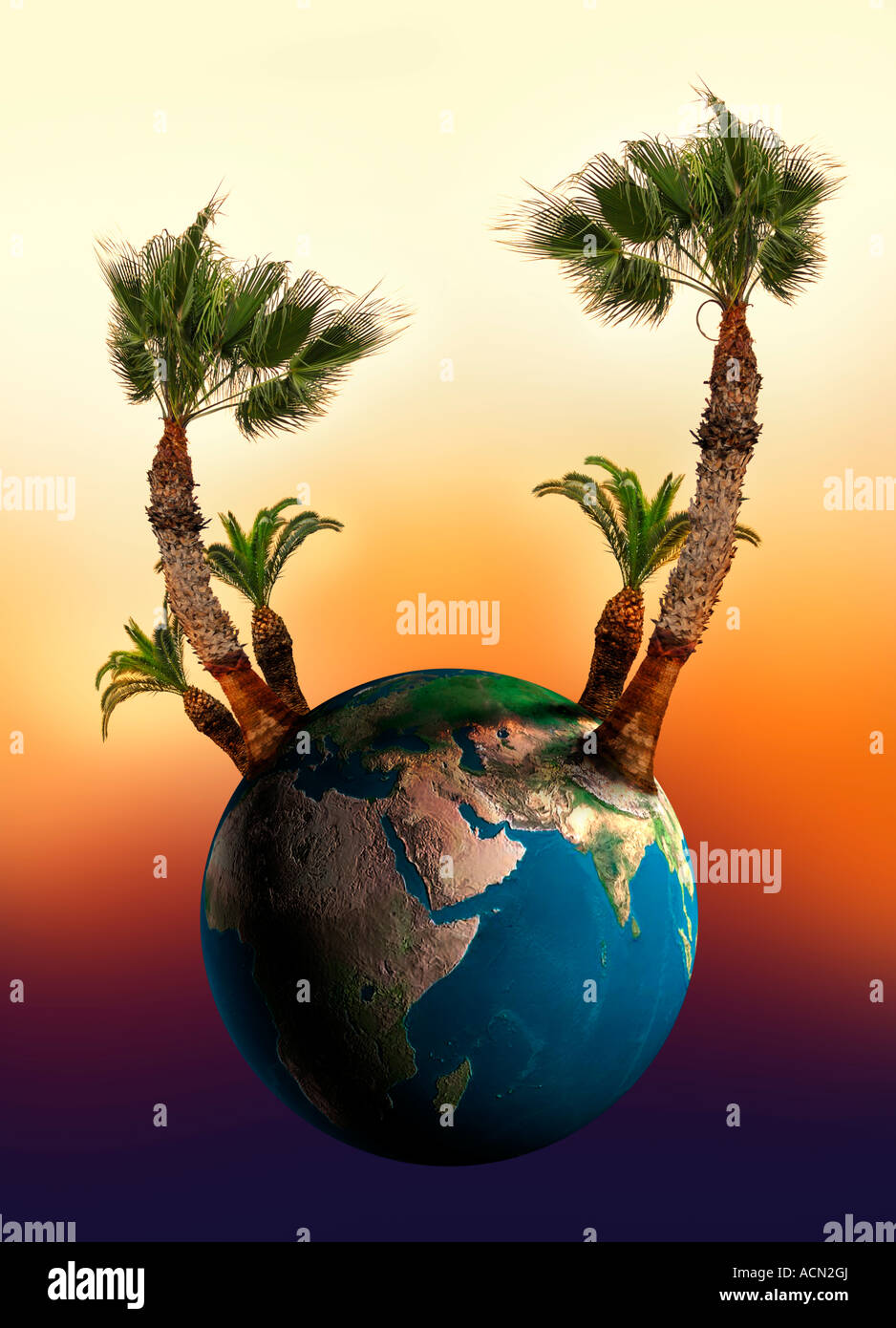 Earth globe in sunset with palm trees Stock Photo - Alamy