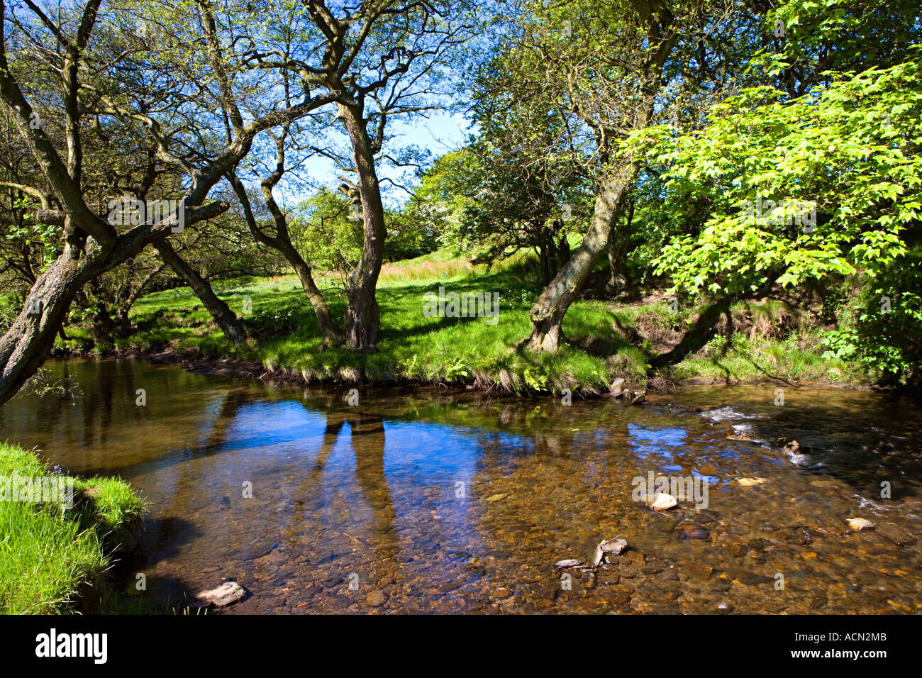The River Noe Flowing Through Trees At The Base Of "Mam Tor" Mountain ...