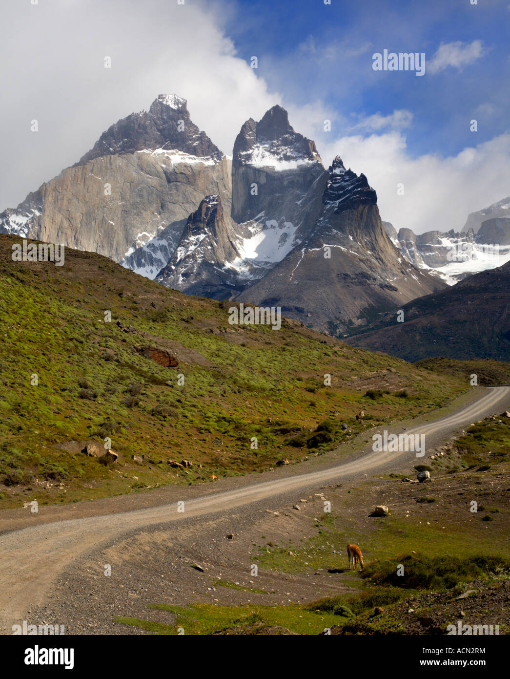 Los cuernos guanaco del paine hi-res stock photography and images - Alamy