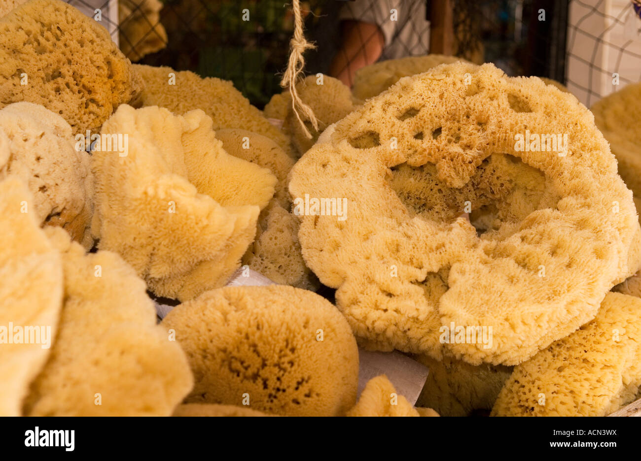 Sponges at Key West FL, Florida Keys Stock Photo - Alamy