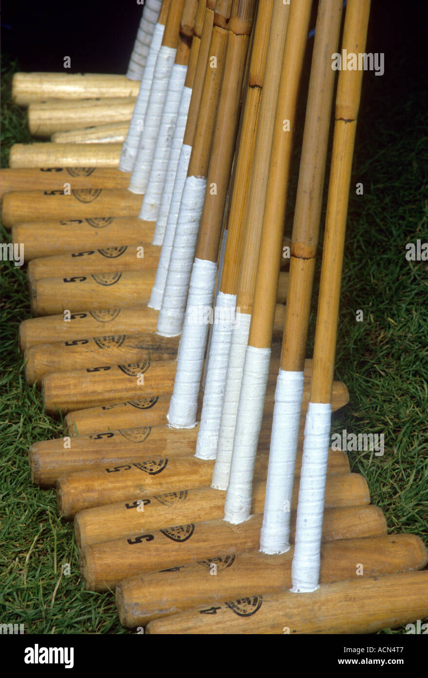Line up of Polo Mallets (Sticks) before match Stock Photo - Alamy