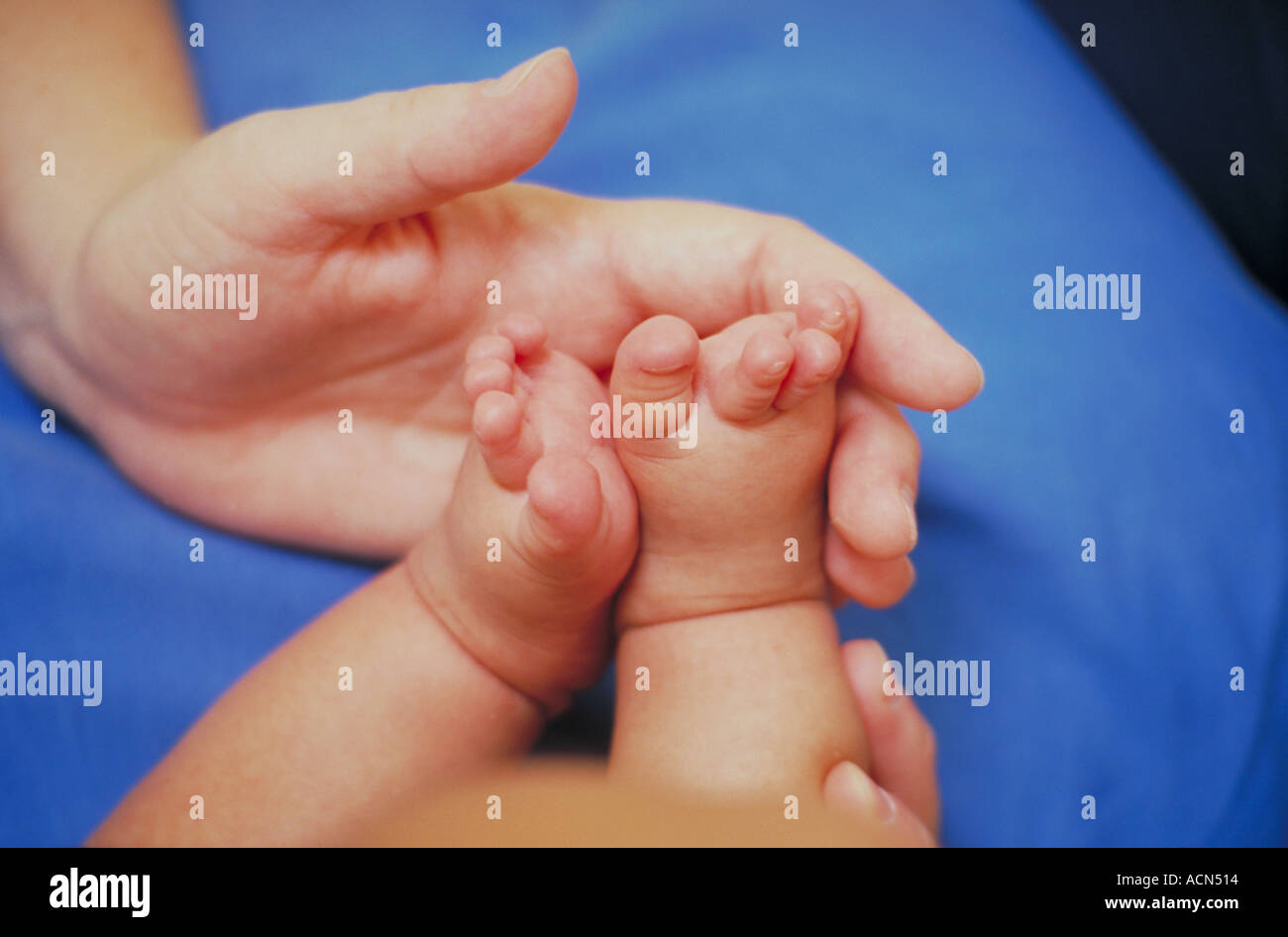 Hands and feet Infant and Mom Stock Photo - Alamy
