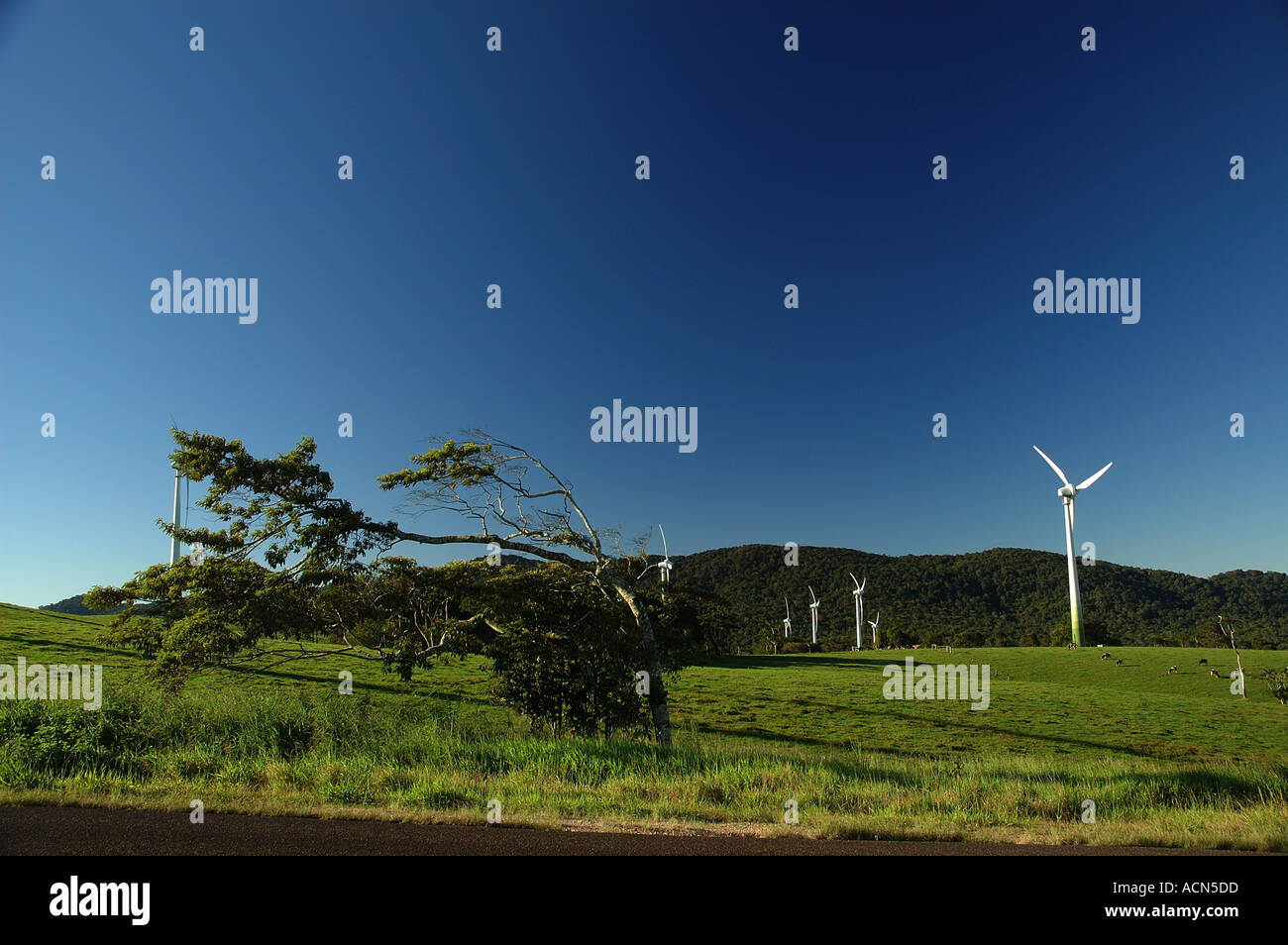 Stanwell queensland hi-res stock photography and images - Alamy
