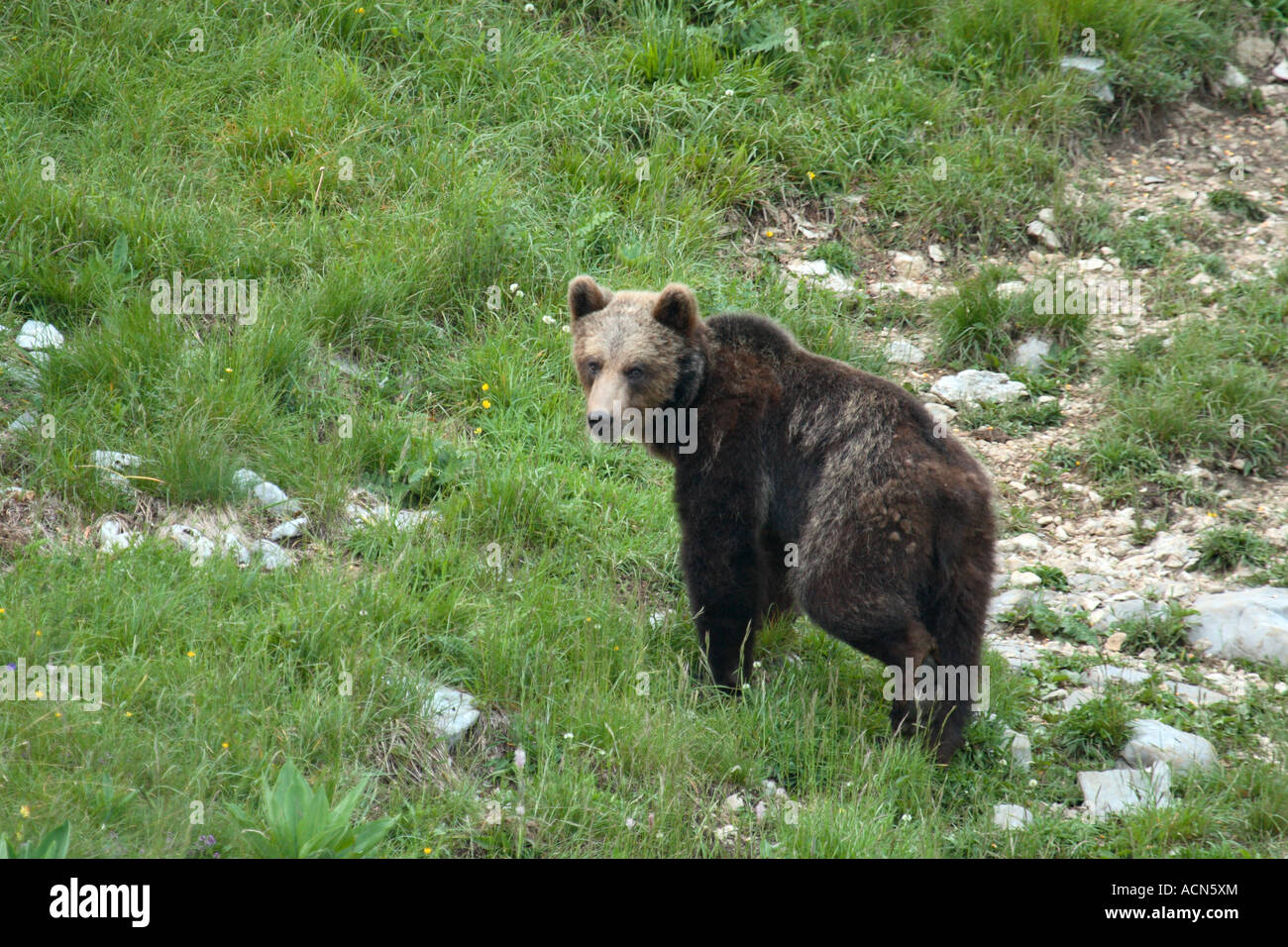 Planota hi-res stock photography and images - Alamy