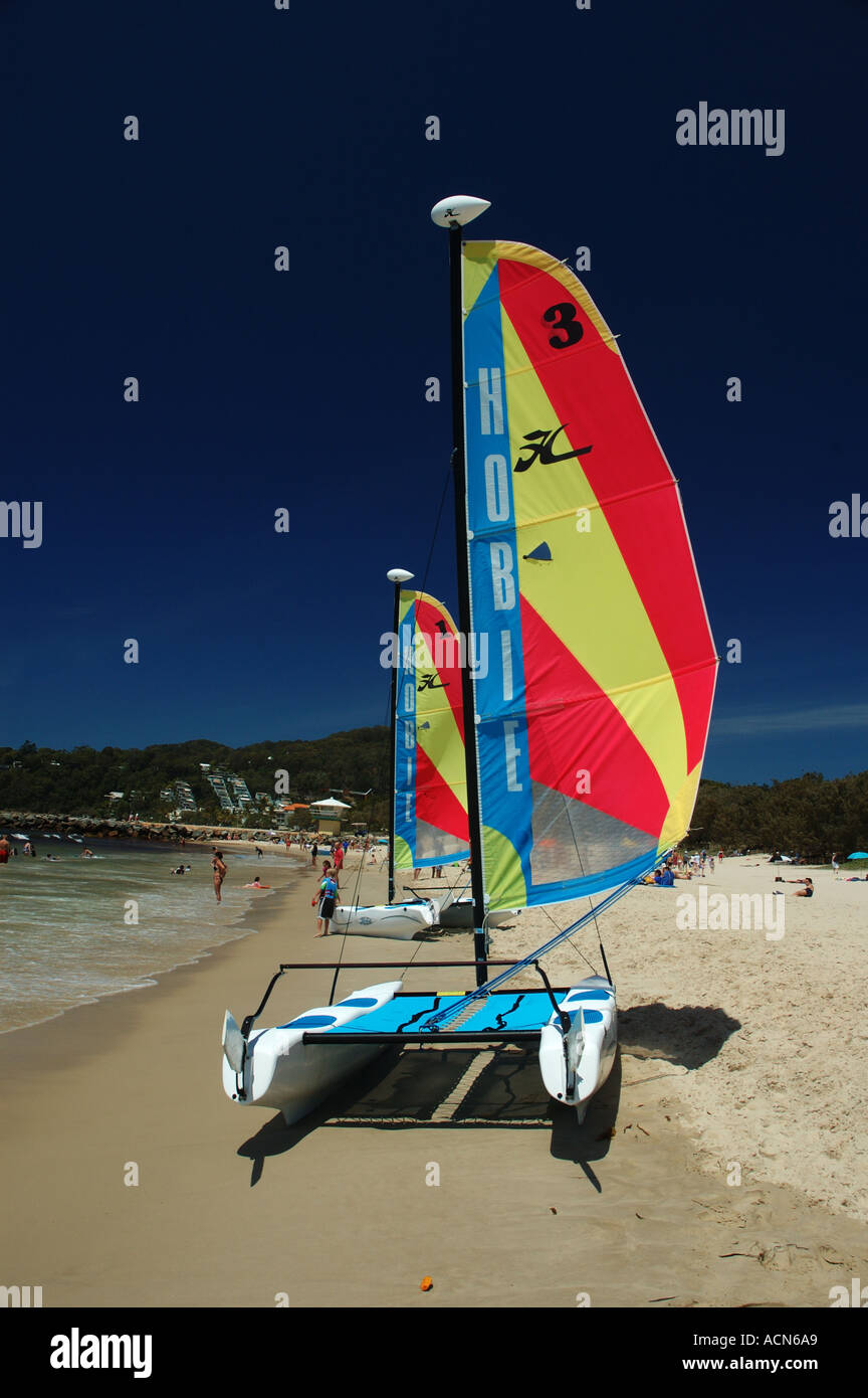 Sailing catamarans pulled up on beach Noosa Queensland Australia dsc ...