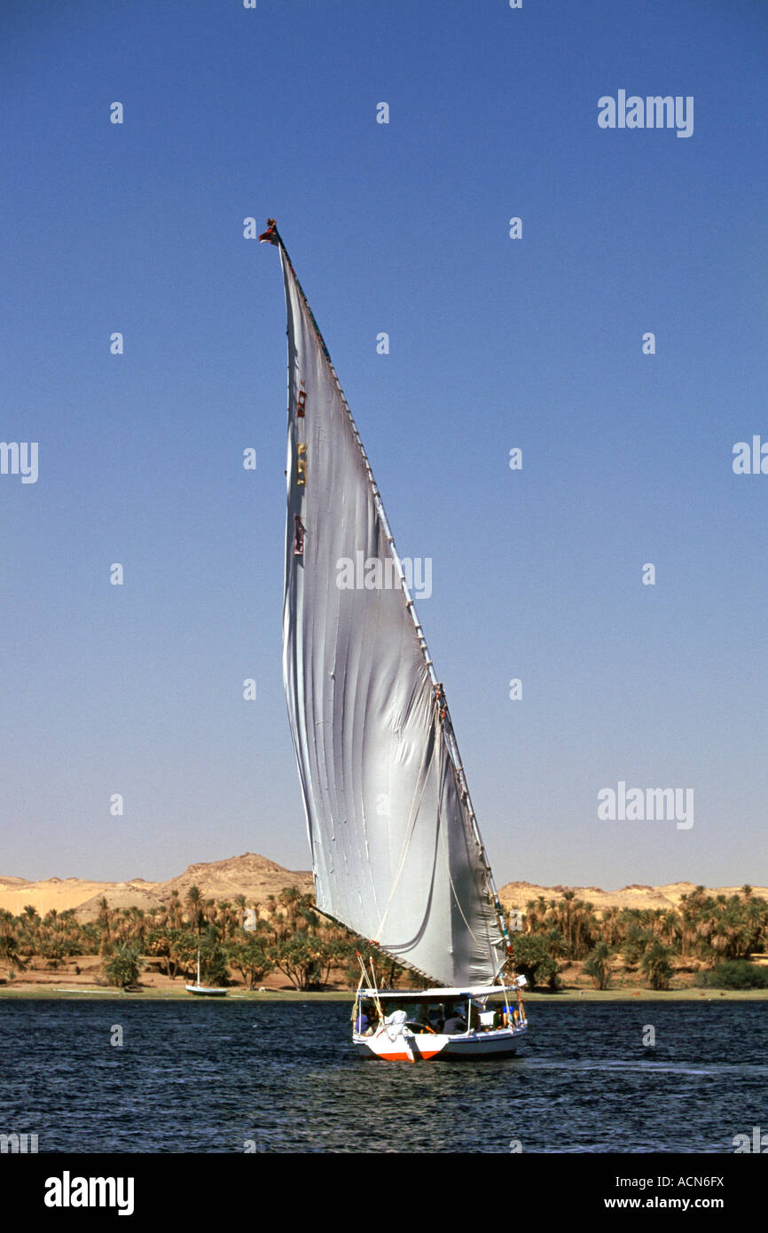 A felucca sailing on the Nile river in Egypt Stock Photo - Alamy