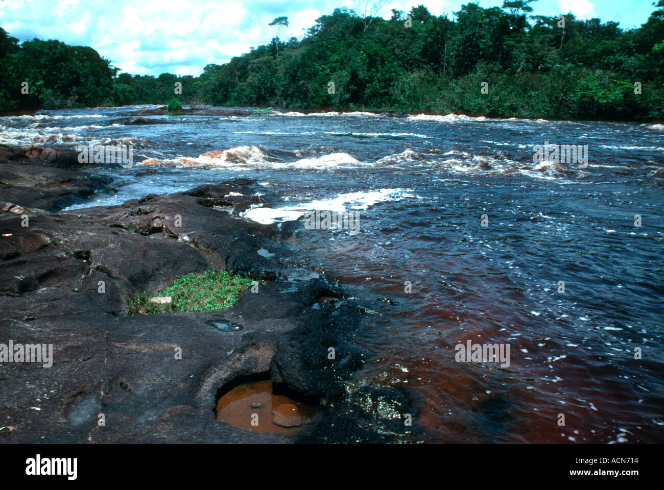 Guyana tropical forest landscape dense hi-res stock photography and ...