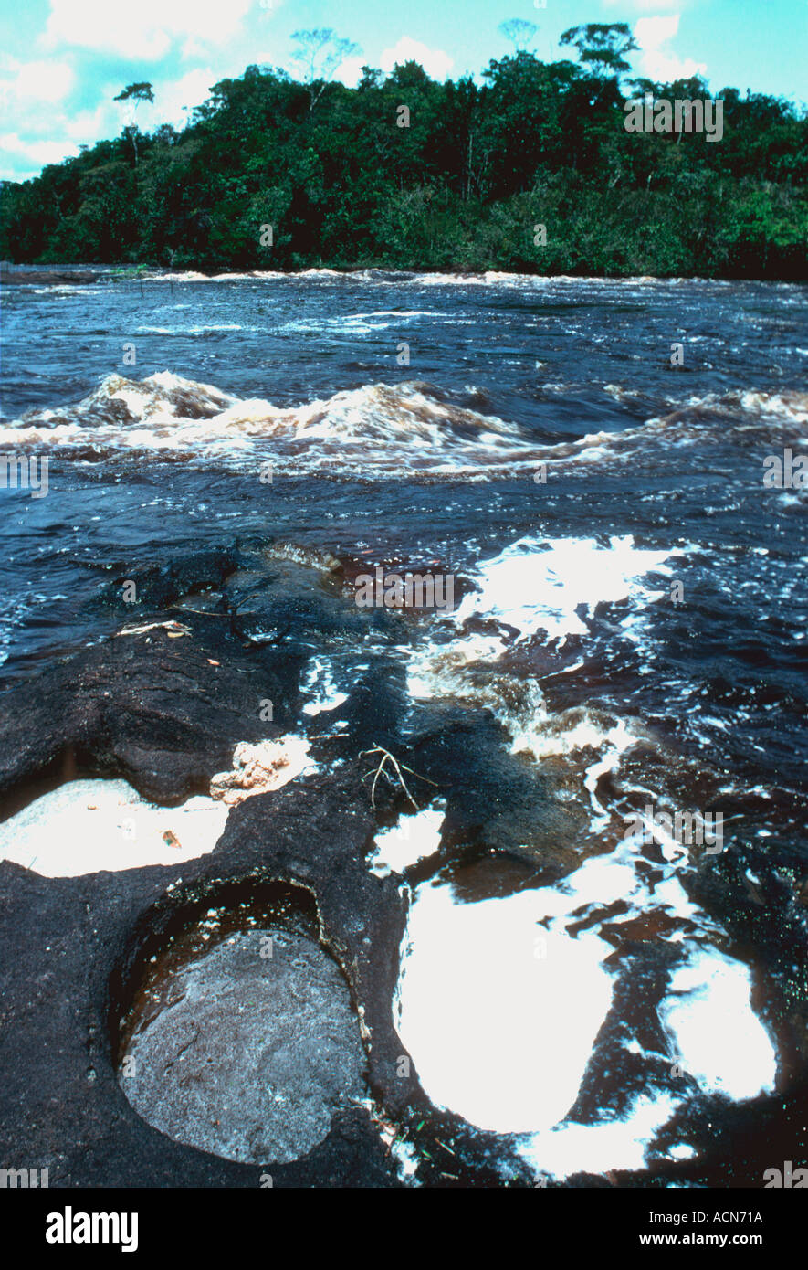 Guyana tropical forest landscape dense hi-res stock photography and ...