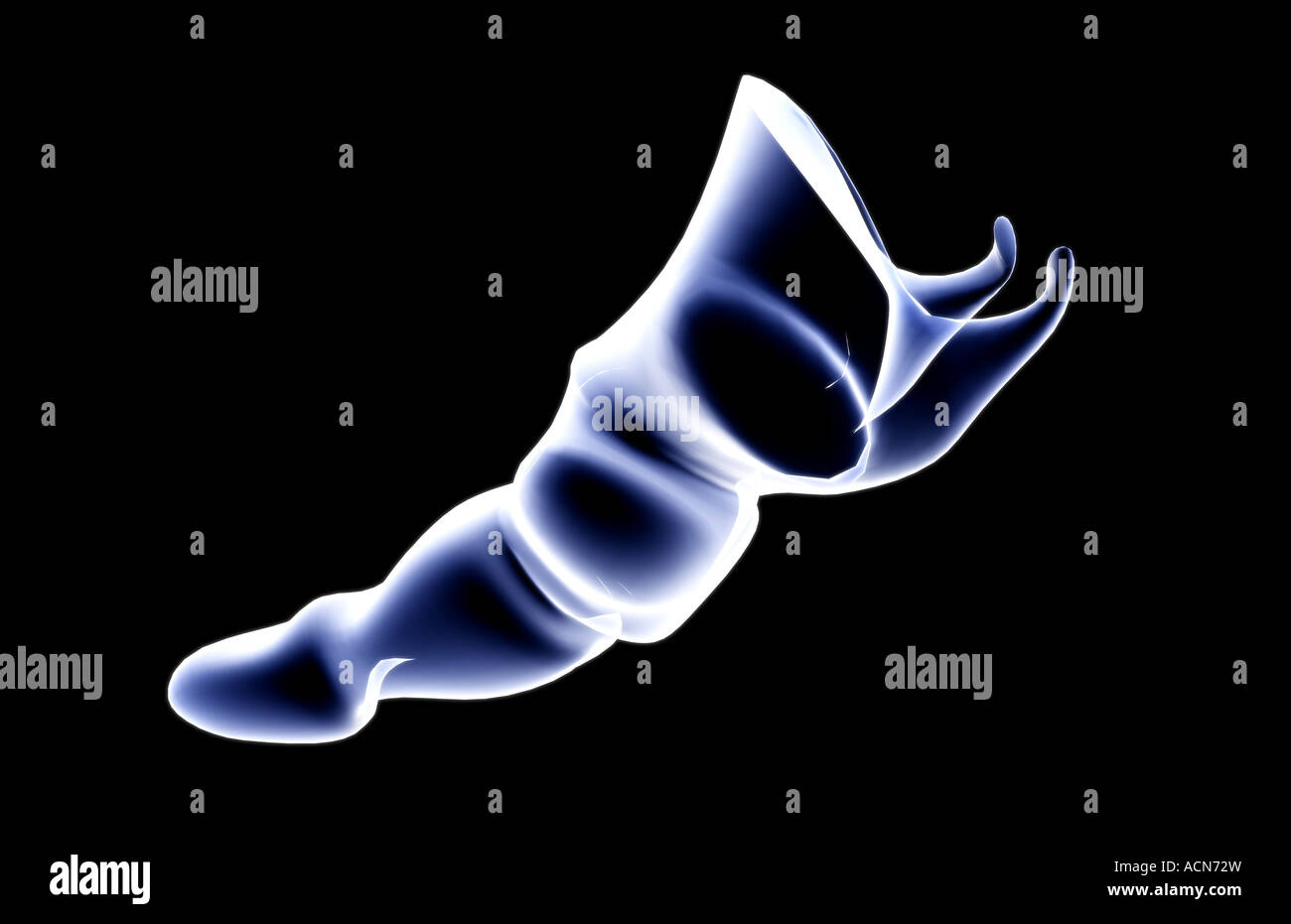 Coccyx tail hi-res stock photography and images - Alamy