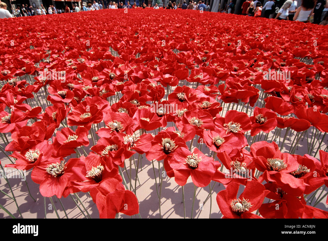 Promotional display of red poppies in Covent Garden in London Stock ...