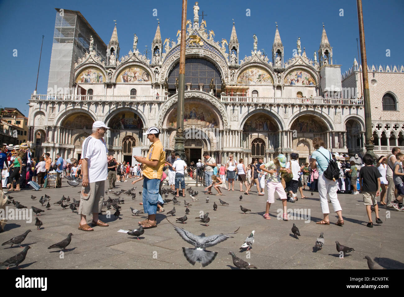 Feeding the pigeons in Saint Markos Square, Venice, Italy Stock Photo ...
