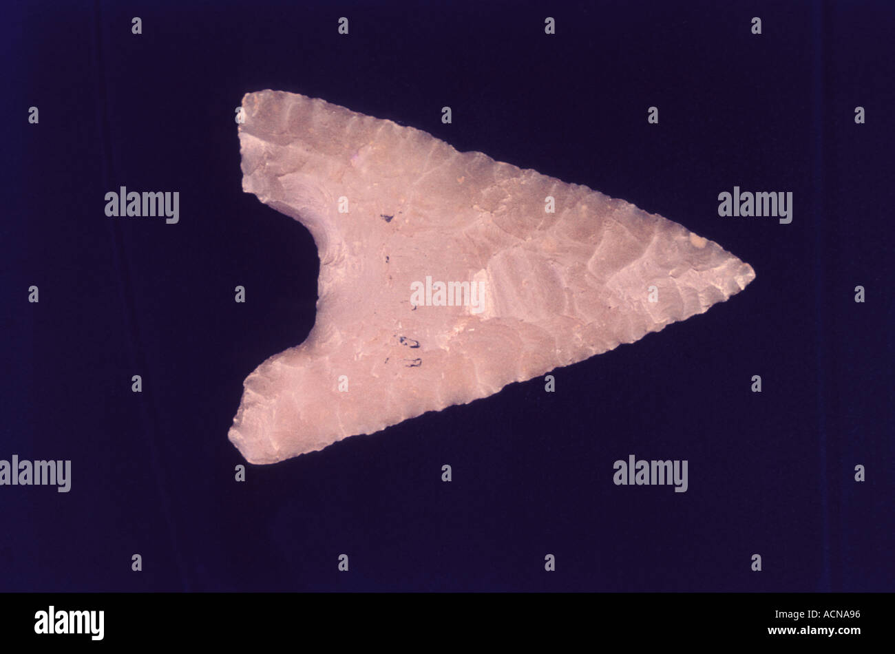Science archeology hi-res stock photography and images - Alamy