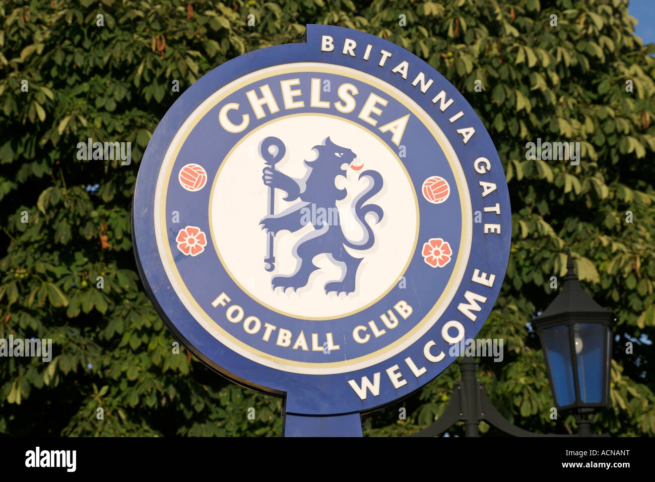 Chelsea football club logo hi-res stock photography and images - Alamy