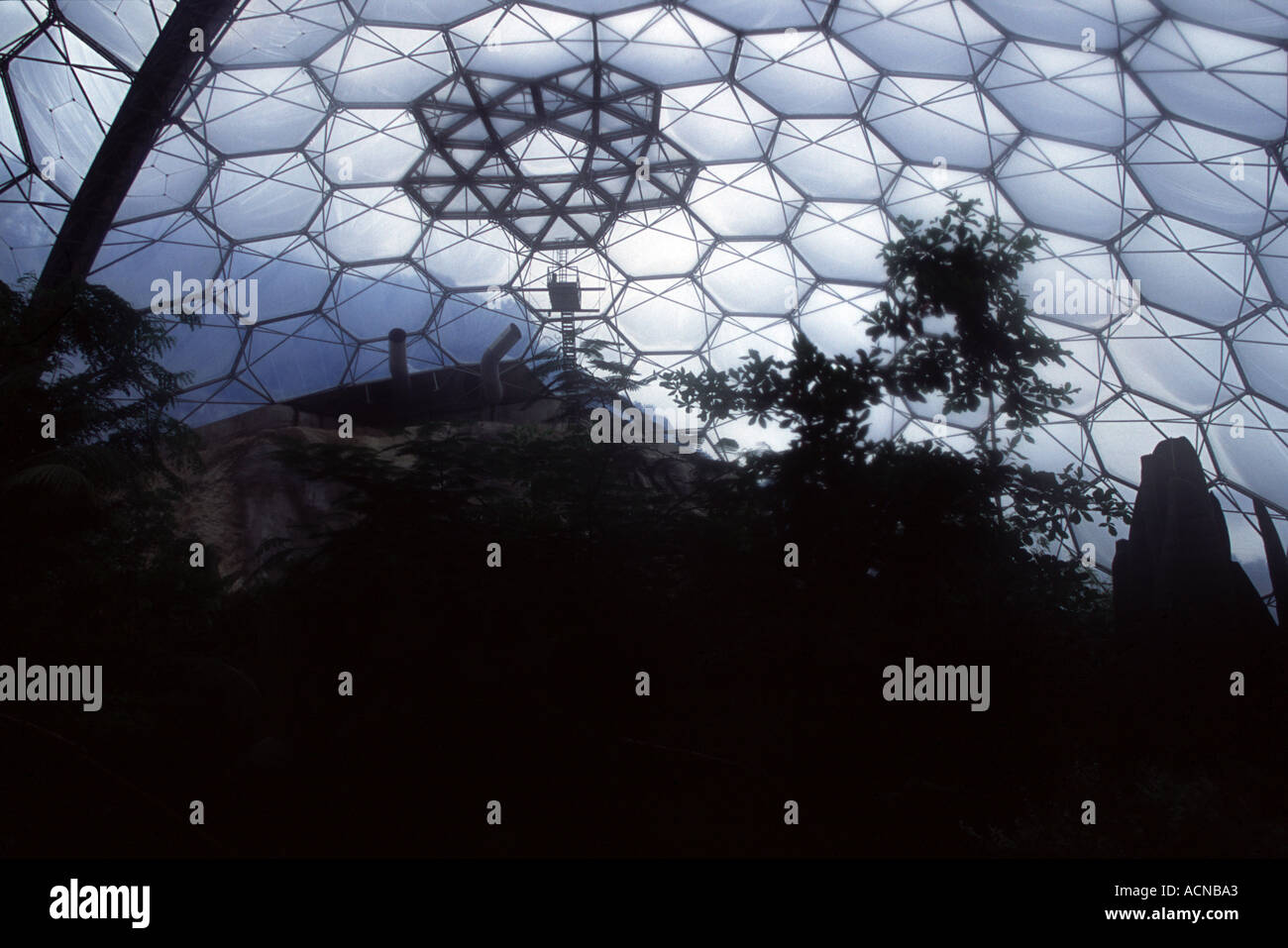 Inside the tropical biodome at the Eden Project Stock Photo - Alamy