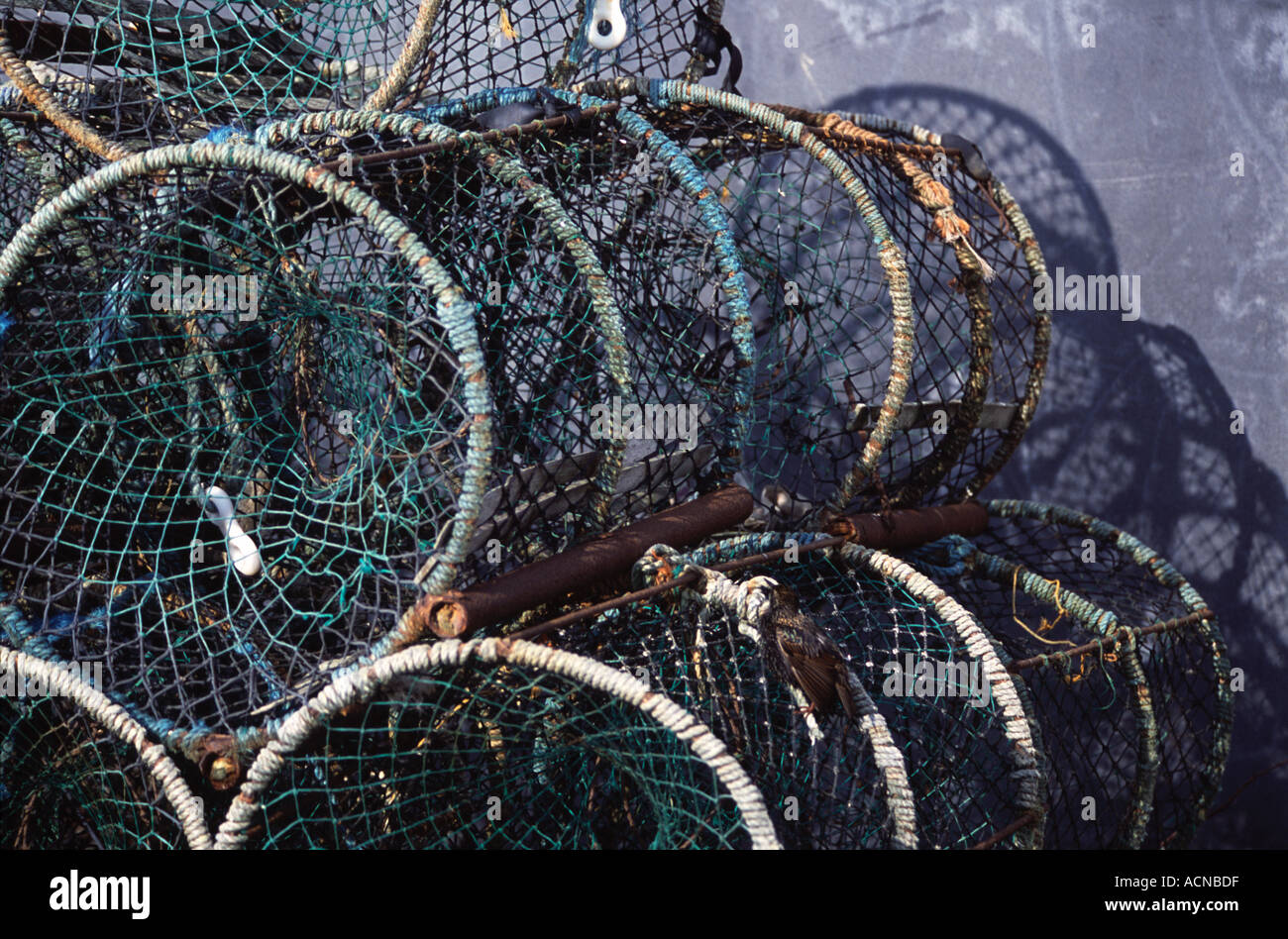 A stack of lobster pots on the beach at Hastings Stock Photo - Alamy