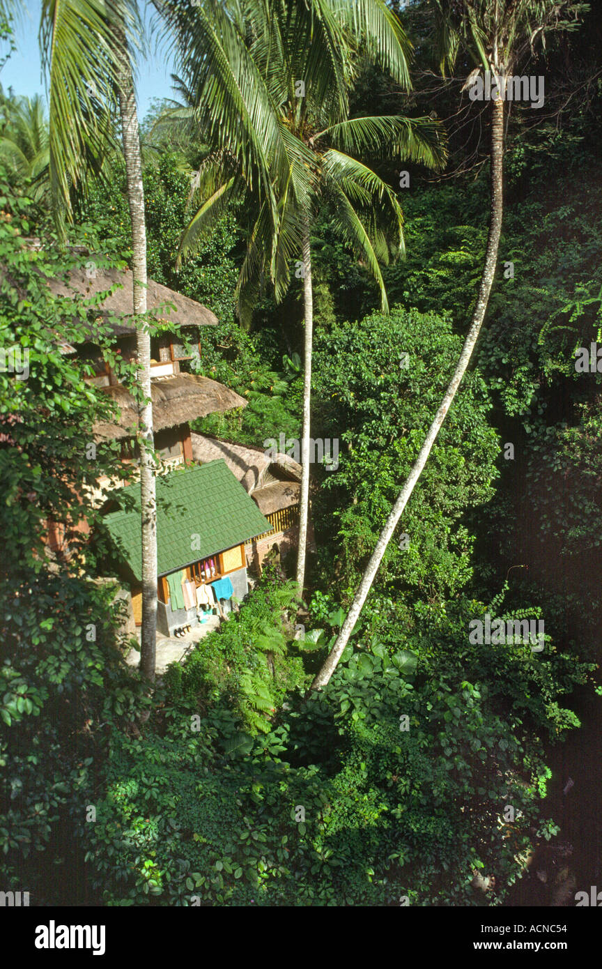 Indonesia Bali Ubud house in forest Stock Photo - Alamy