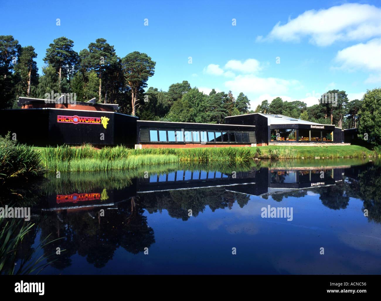 Landmark Forest Heritage Park in Carrbridge Stock Photo - Alamy
