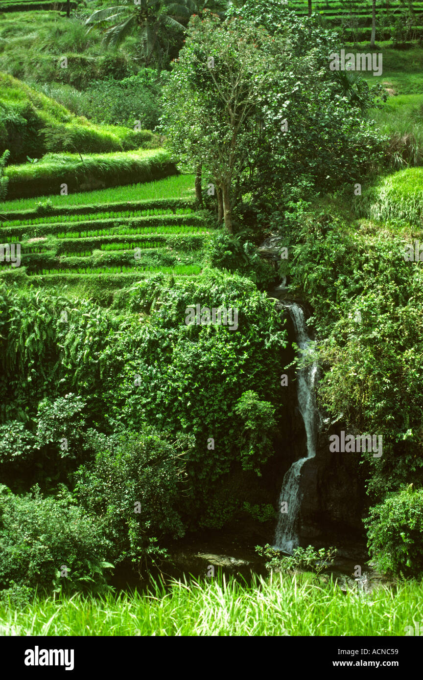 Fruitful yield landscape hi-res stock photography and images - Alamy