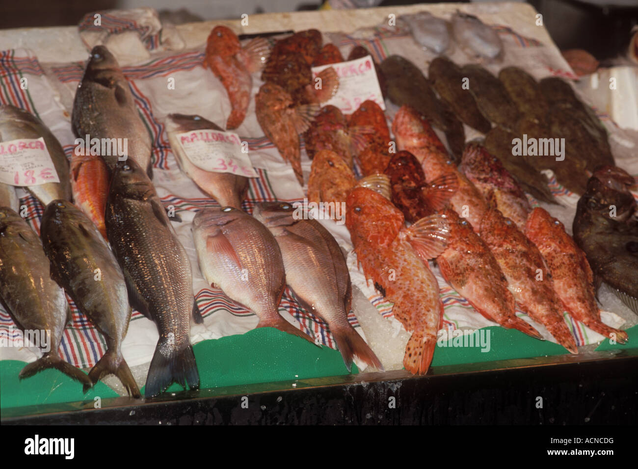 Mercado de olivar palma de mallorca hi-res stock photography and images ...