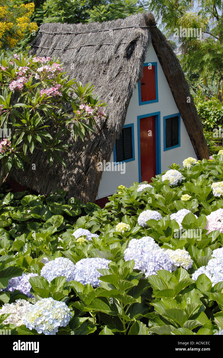 Madeira traditional thatched house Stock Photo - Alamy