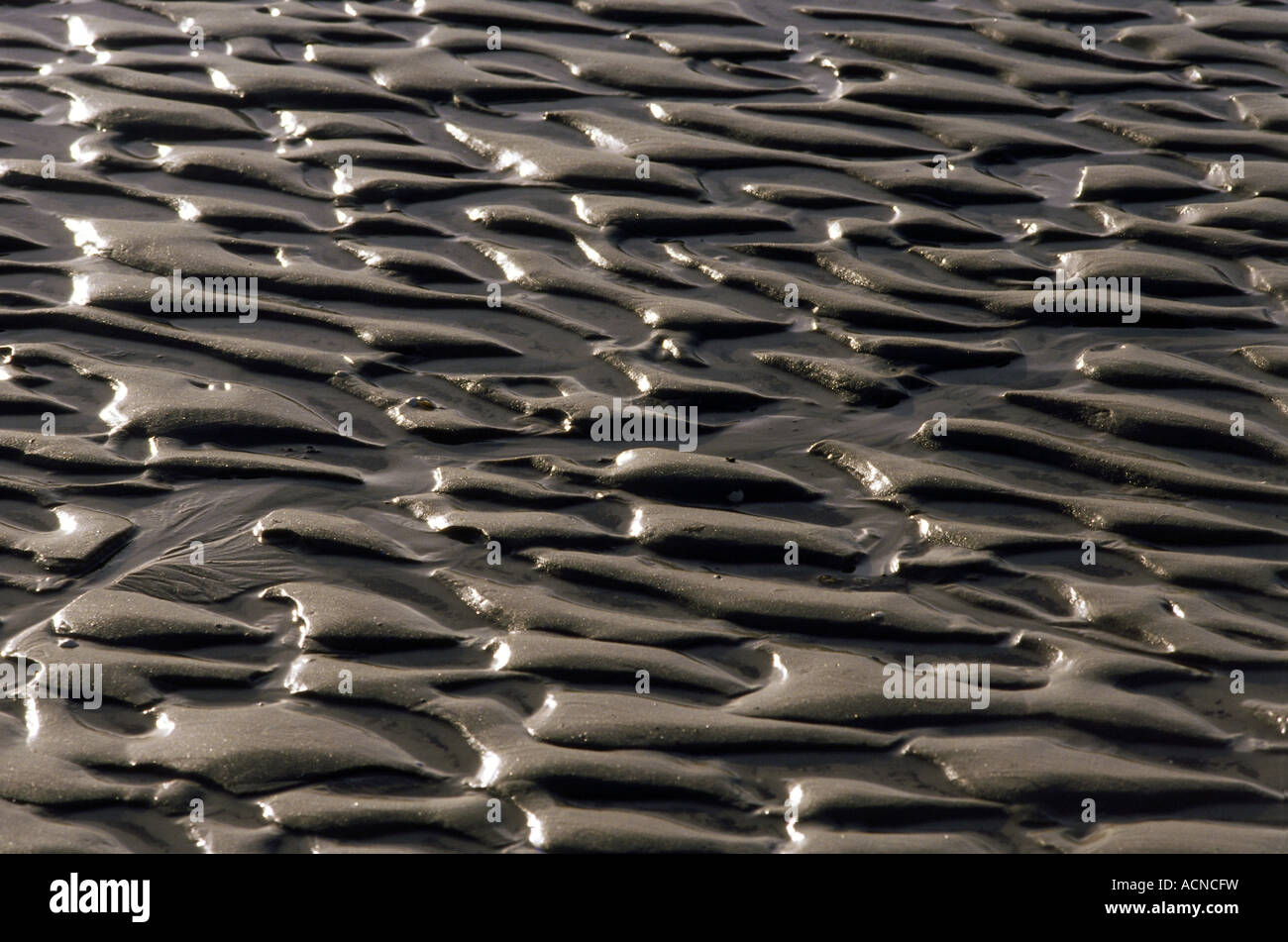 Especialness hi-res stock photography and images - Alamy