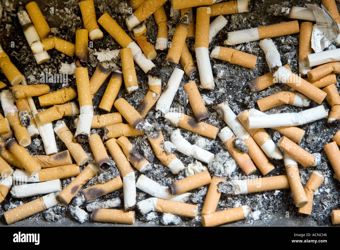Butts. Striking image showing dirty vice of smoking Stock Photo - Alamy