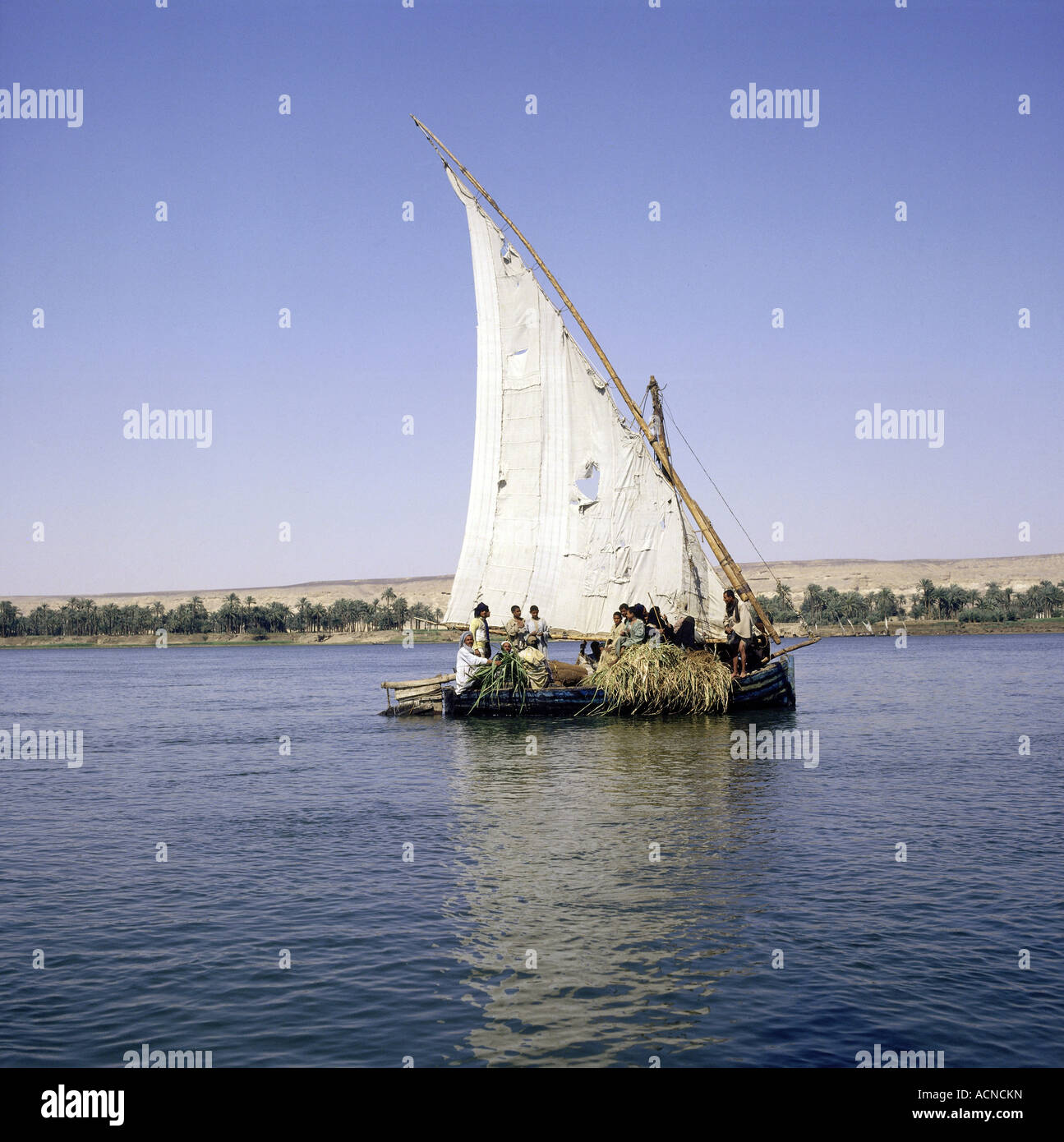 geography / travel, Egypt, transport / transportation, Felucca at Nile ...