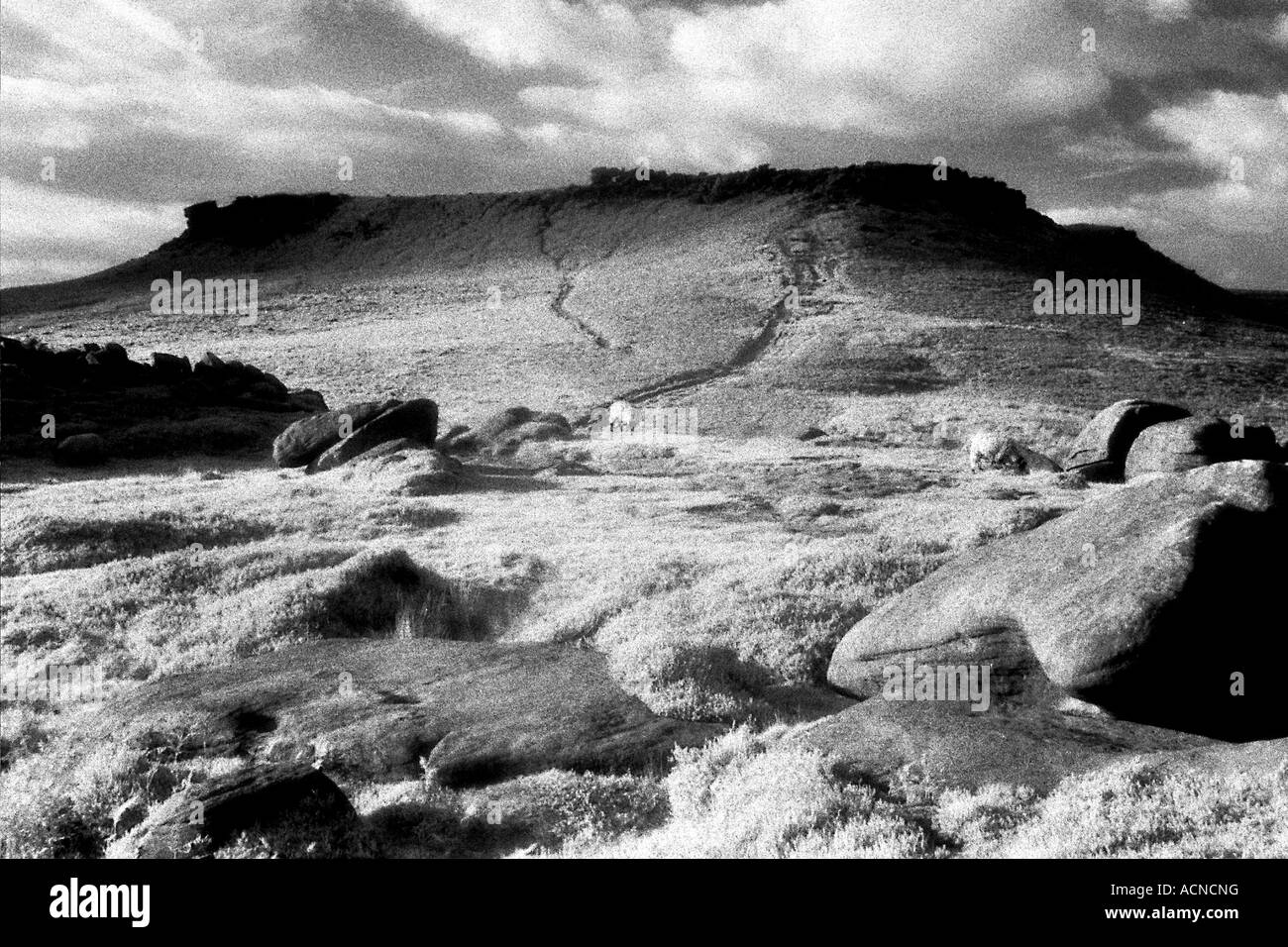 The stone age fort -hoggor torr Stock Photo - Alamy