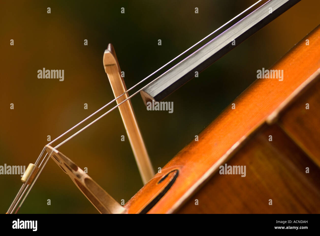 Cello bridge detail closeup hi-res stock photography and images - Alamy