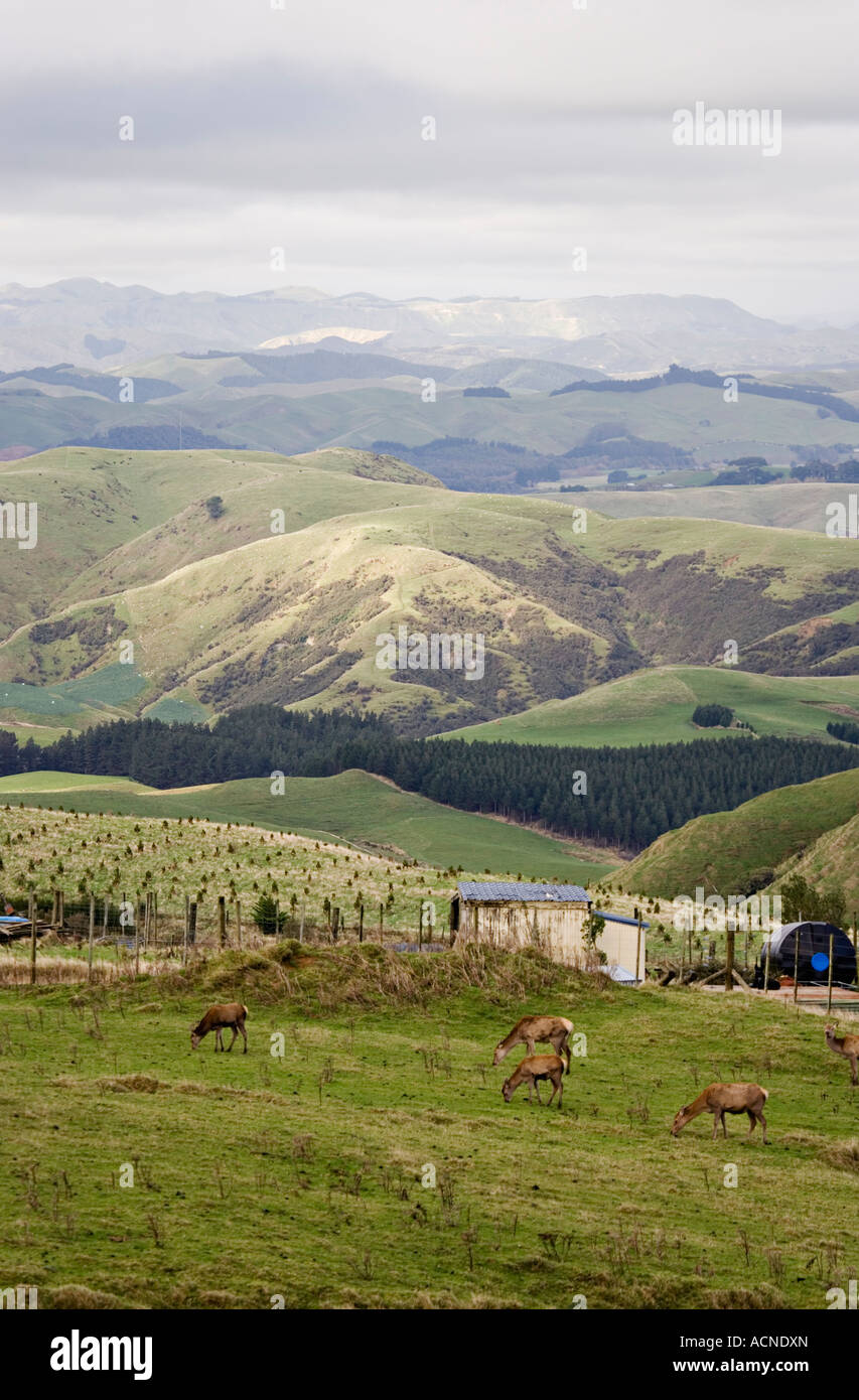 Tararua ranges tararua ranges hi-res stock photography and images - Alamy