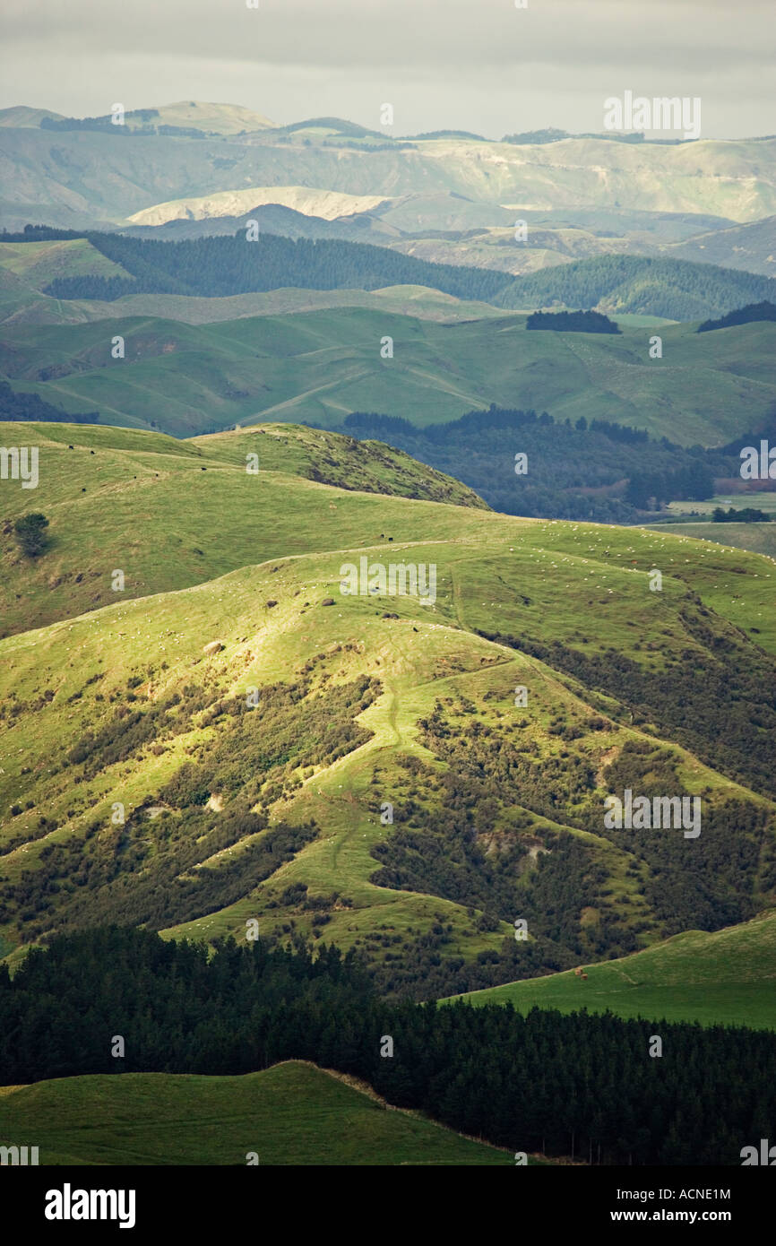 Tararua ranges tararua ranges hi-res stock photography and images - Alamy