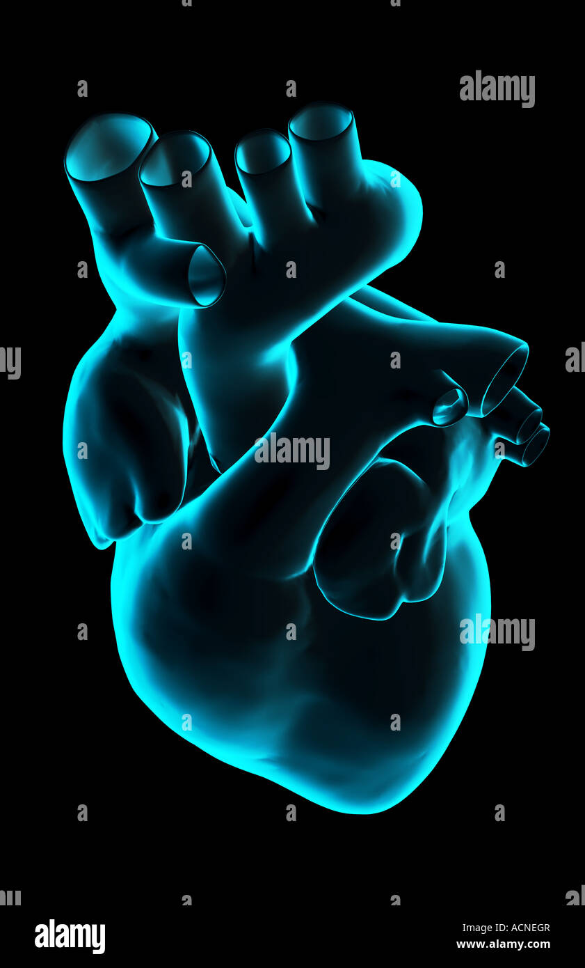 Human heart anatomy side view hi-res stock photography and images - Alamy