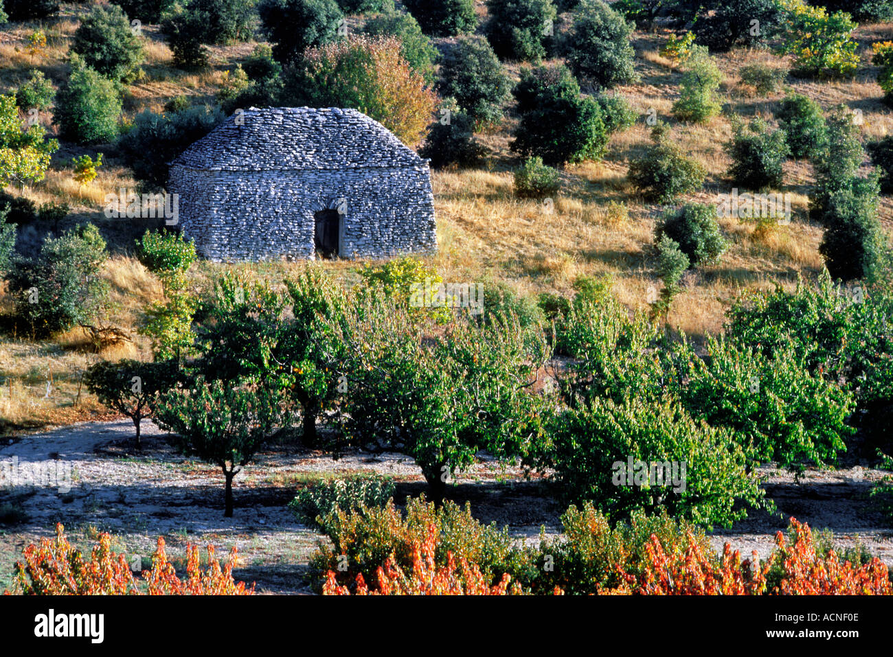 LANDSCAPE IN PROVENCE FRANCE Stock Photo - Alamy