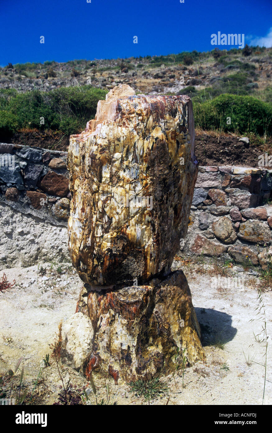 Petrified forest lesbos hi-res stock photography and images - Alamy