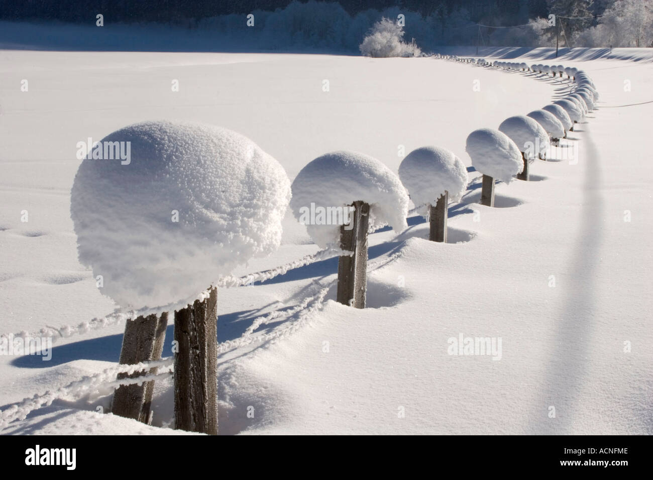 Snow covered poles Stock Photo - Alamy