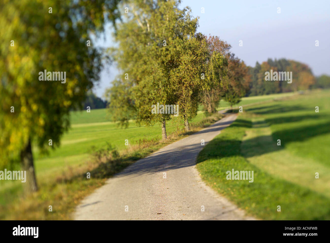 Country lane Stock Photo - Alamy