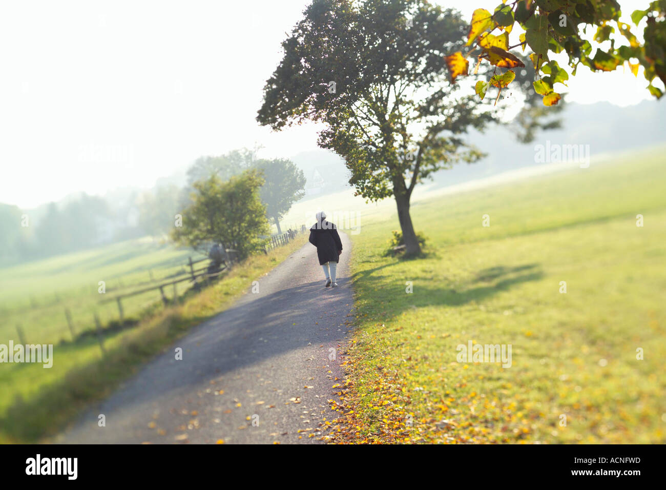 Country lane Stock Photo - Alamy