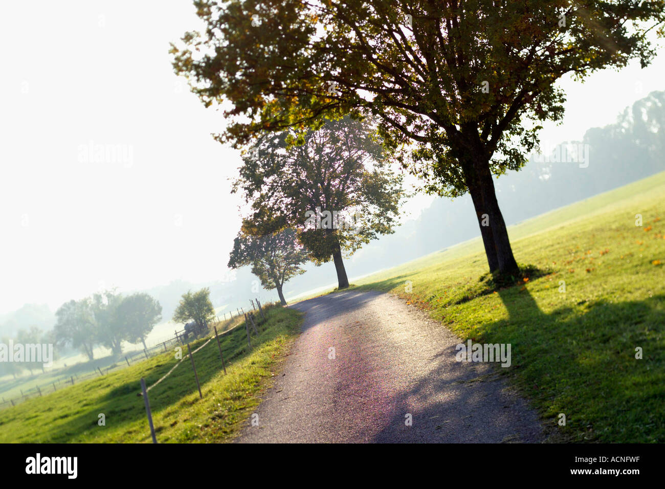 Country lane Stock Photo - Alamy
