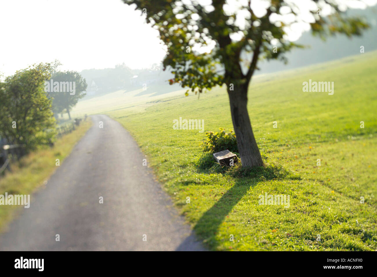 Country lane Stock Photo - Alamy